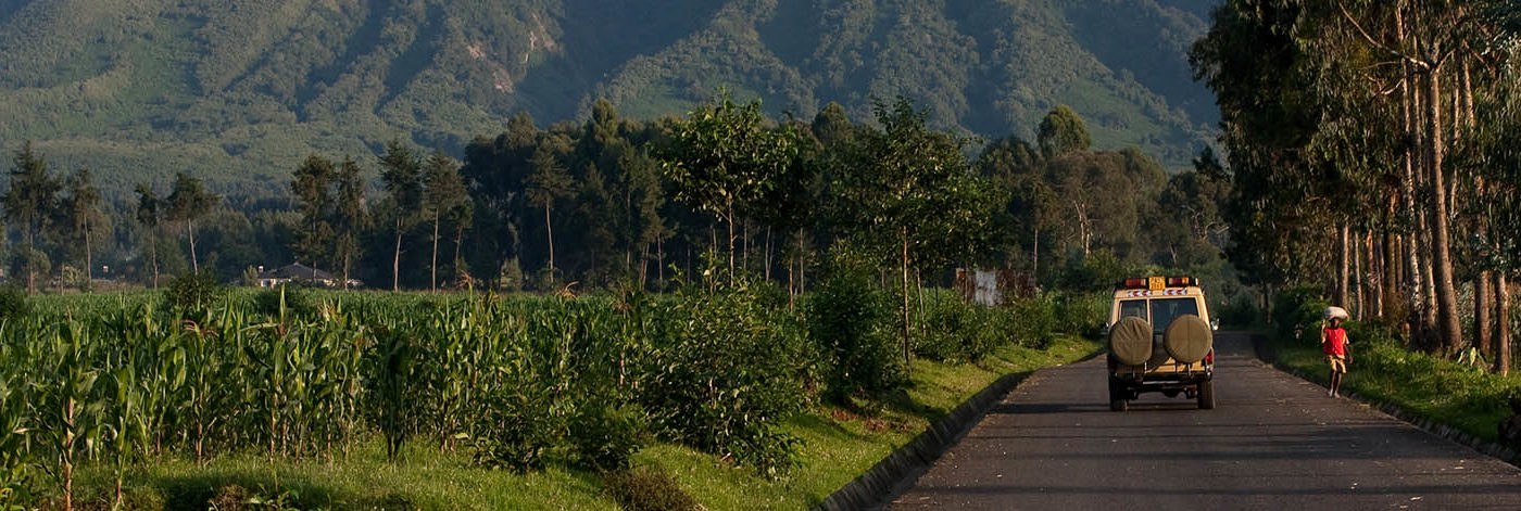 Volcanoes National Park Rwanda - Gorilla Trekking Safaris, Tours